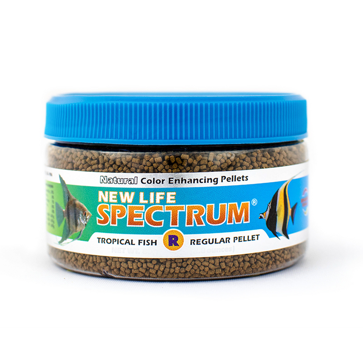 New Life Spectrum – Super Cichlids