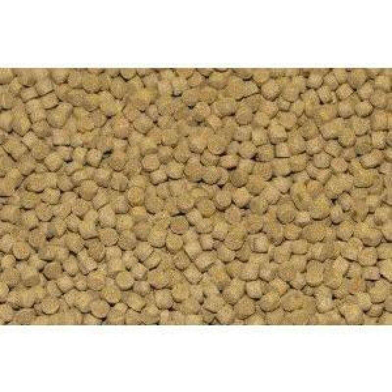 Northfin Fish Food Cichlid Formula Slow Sinking Pellets – Super Cichlids